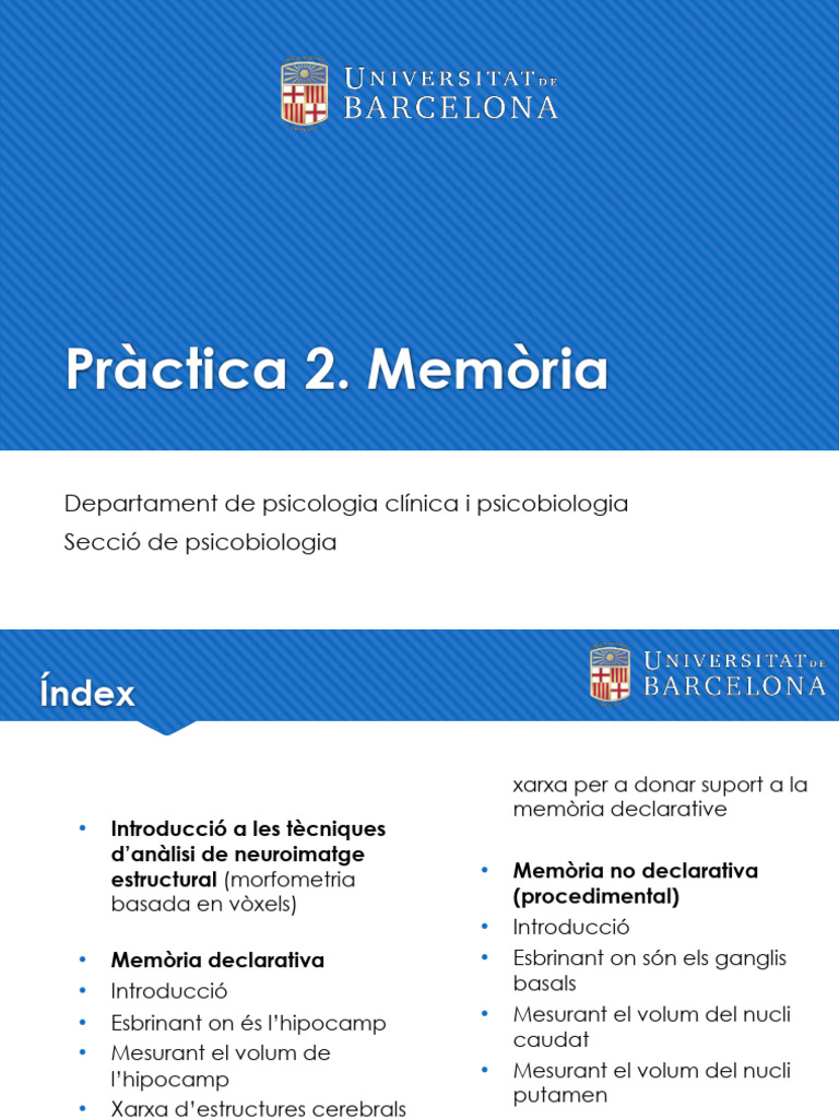 Solucions Practiques Ii, Iii, Iv | PDF