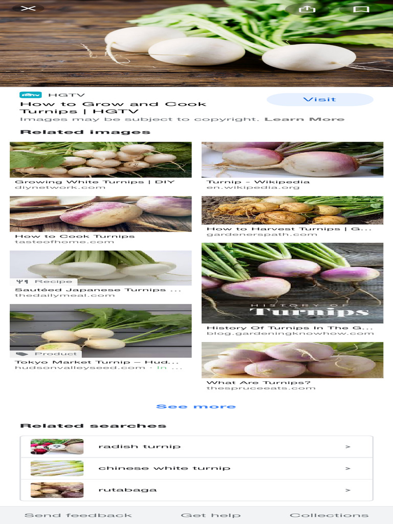Turnip - Google Search | PDF | Turnip | Plants