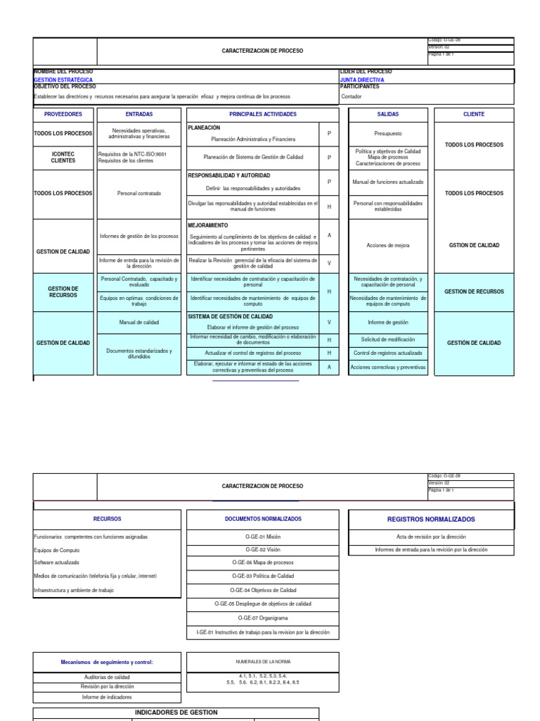O Ge 08 Caracterizacion Estrategica | PDF