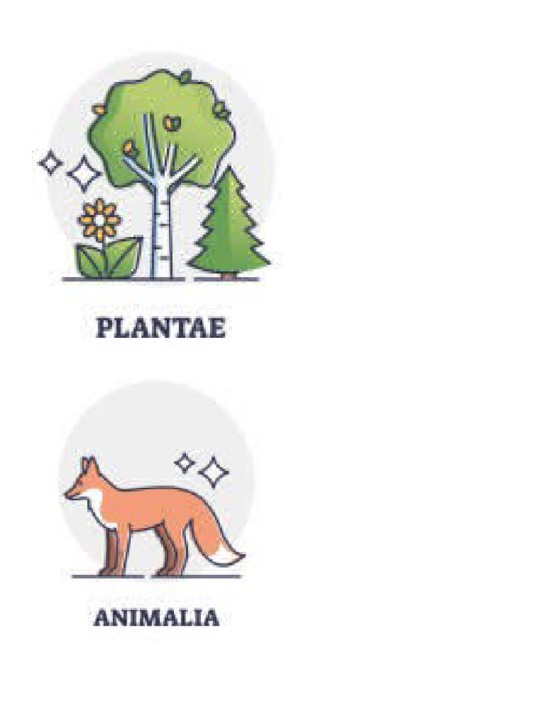 Dominio Eukarya | PDF | Plantas | Eucariotas