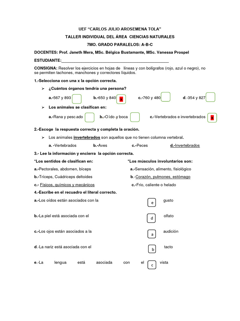Taller de CCNN 3t Resuelto | PDF | Magnetismo | Imán