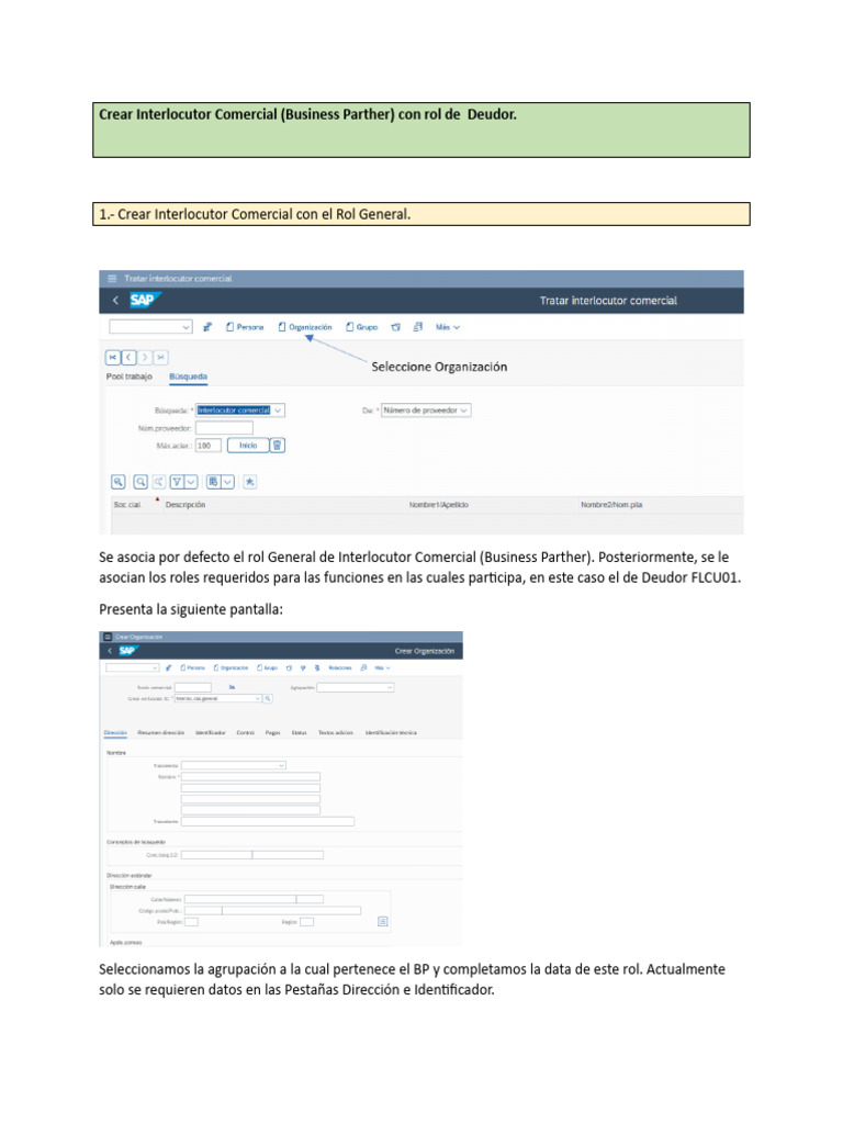 Crear Interlocutor Comercial Deudor FLCU01 | PDF | Negocios | Derecho