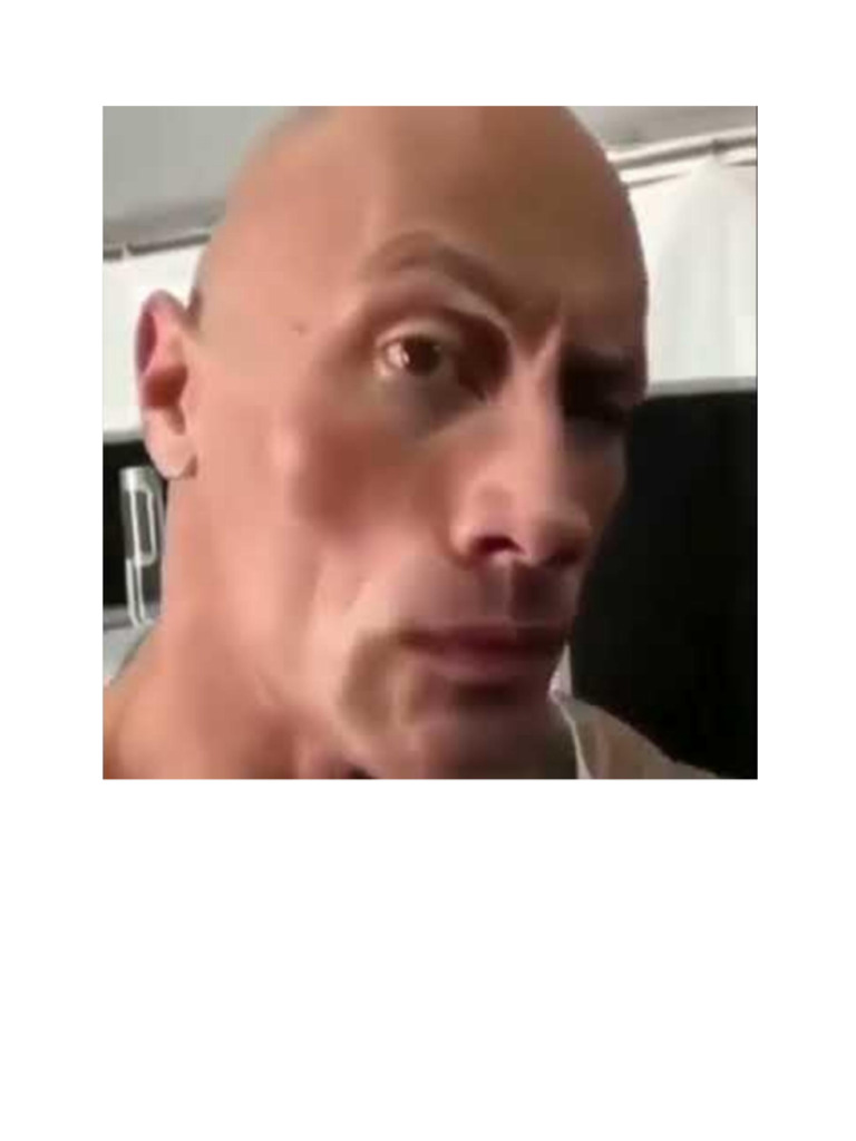 The Rock Eye Brow | PDF