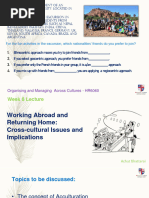 Berry Acculturation Model | PDF