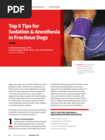 Chill Protocol for Managing Dog Anxiety | PDF | Anesthesia | Medical ...