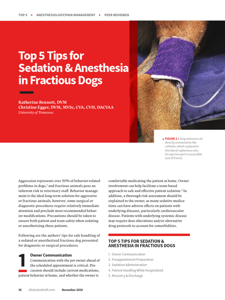 2018 Top 5 Tips for Sedation & Anesthesia in Fractious Dogs | PDF ...