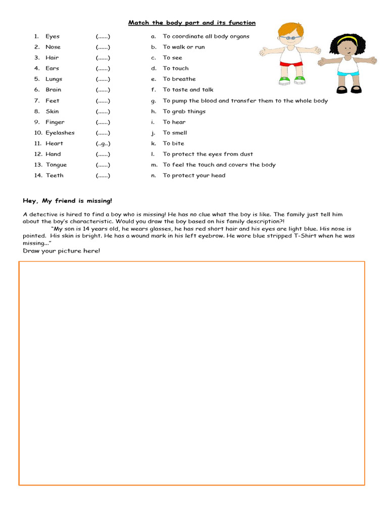 Body Parts Matching The Function | PDF | Art