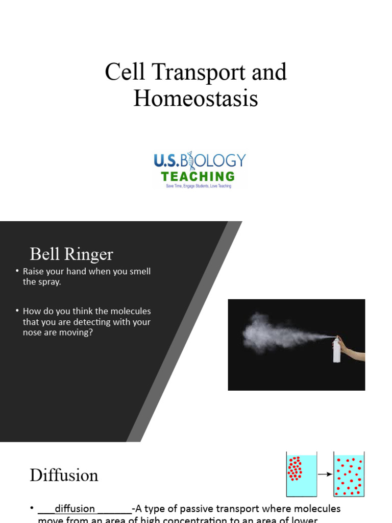 Cell Transport and Homeostasis Student Guided Notes-USBT | PDF ...