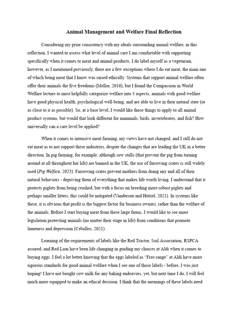 Ethics Reflection FINAL | PDF | Animal Welfare | Meat
