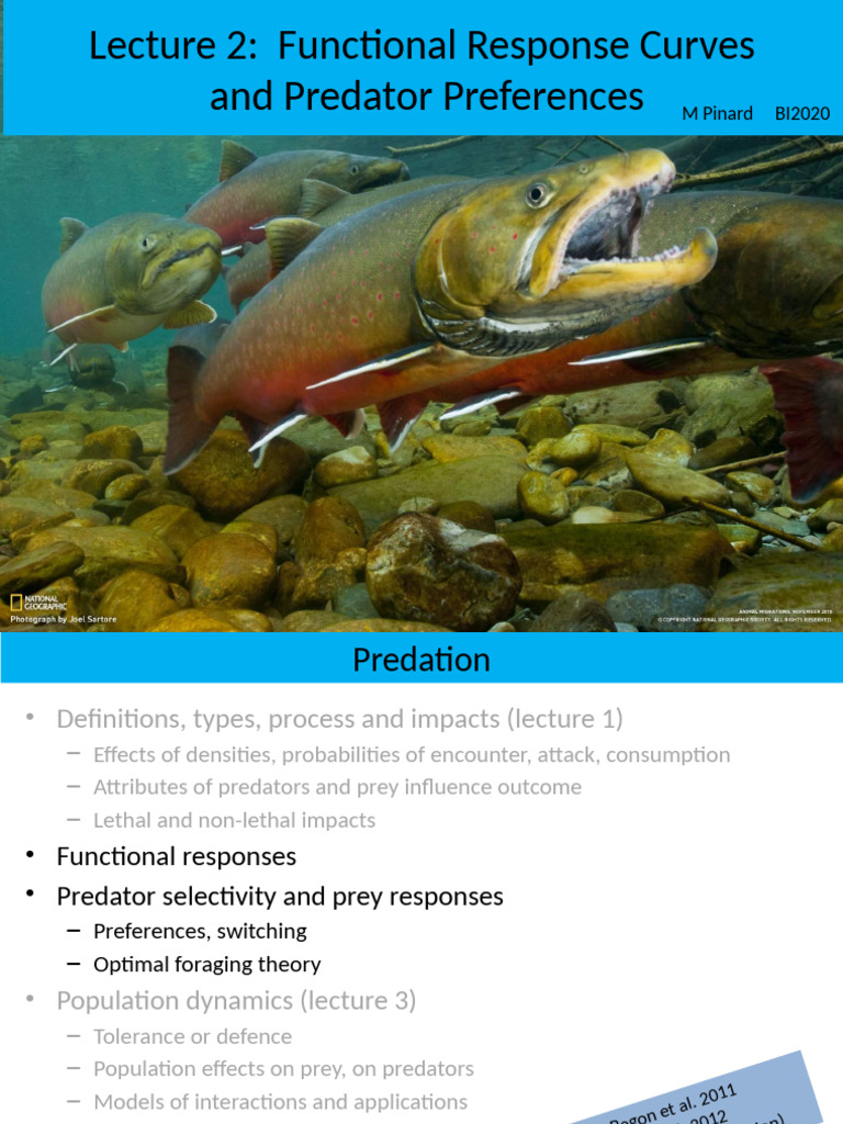 PredationLect2 - Tagged | PDF | Predation | Foraging