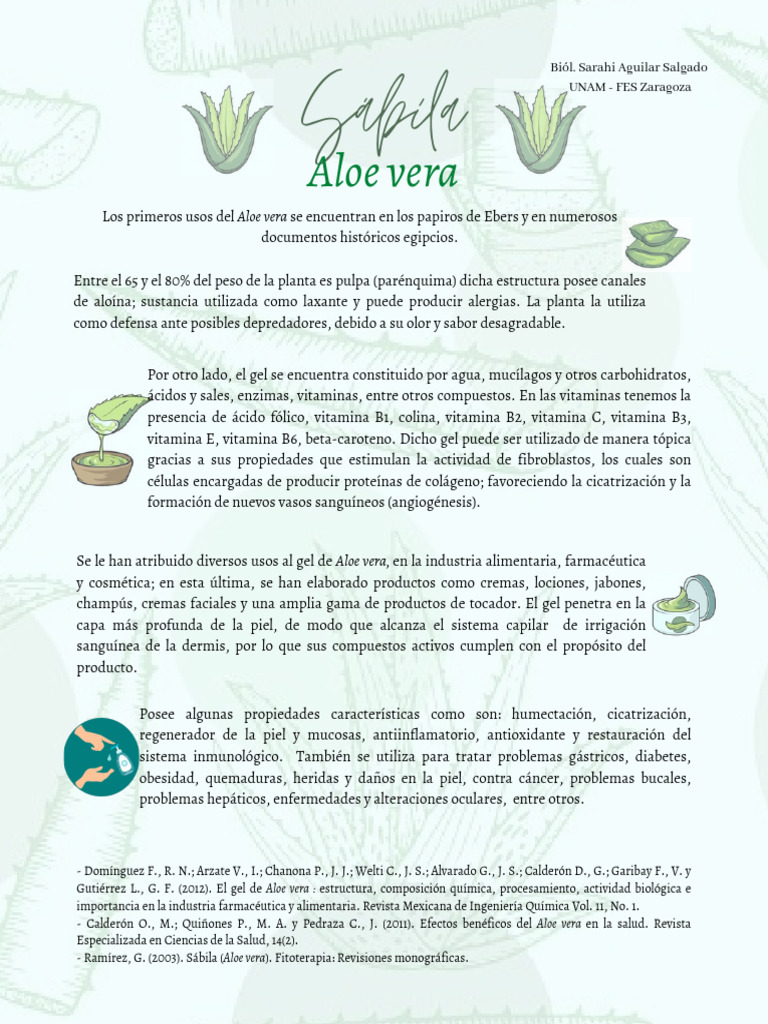 Infografía de Sábila | PDF | Piel | Vitamina