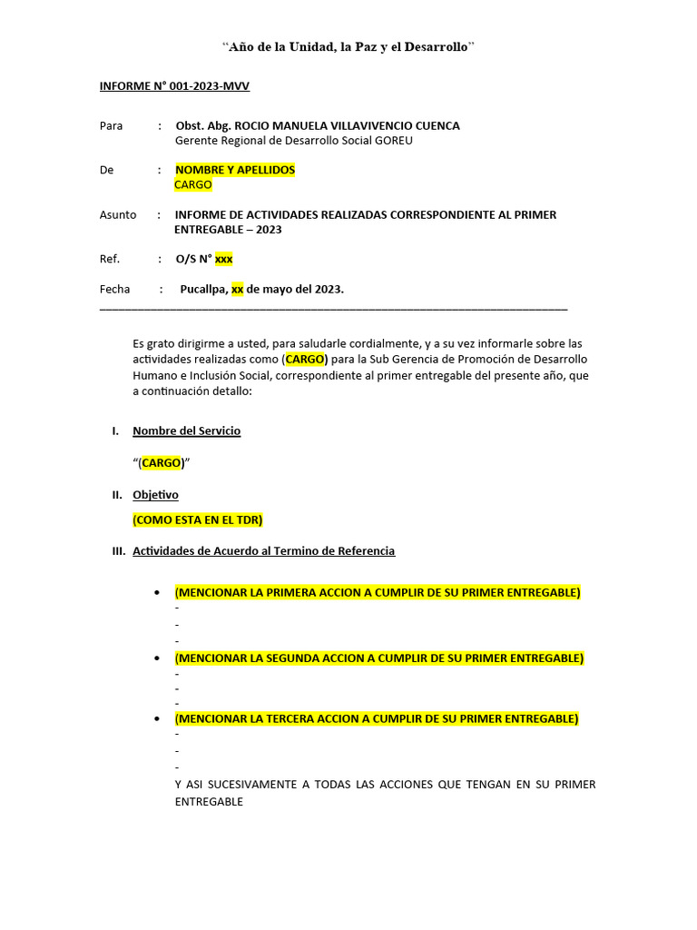 Modelo Del Informe para El Primer Entregable | PDF