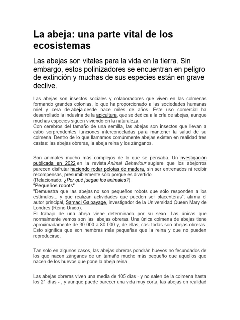 Las Abejas | PDF | Abejas | Colmena