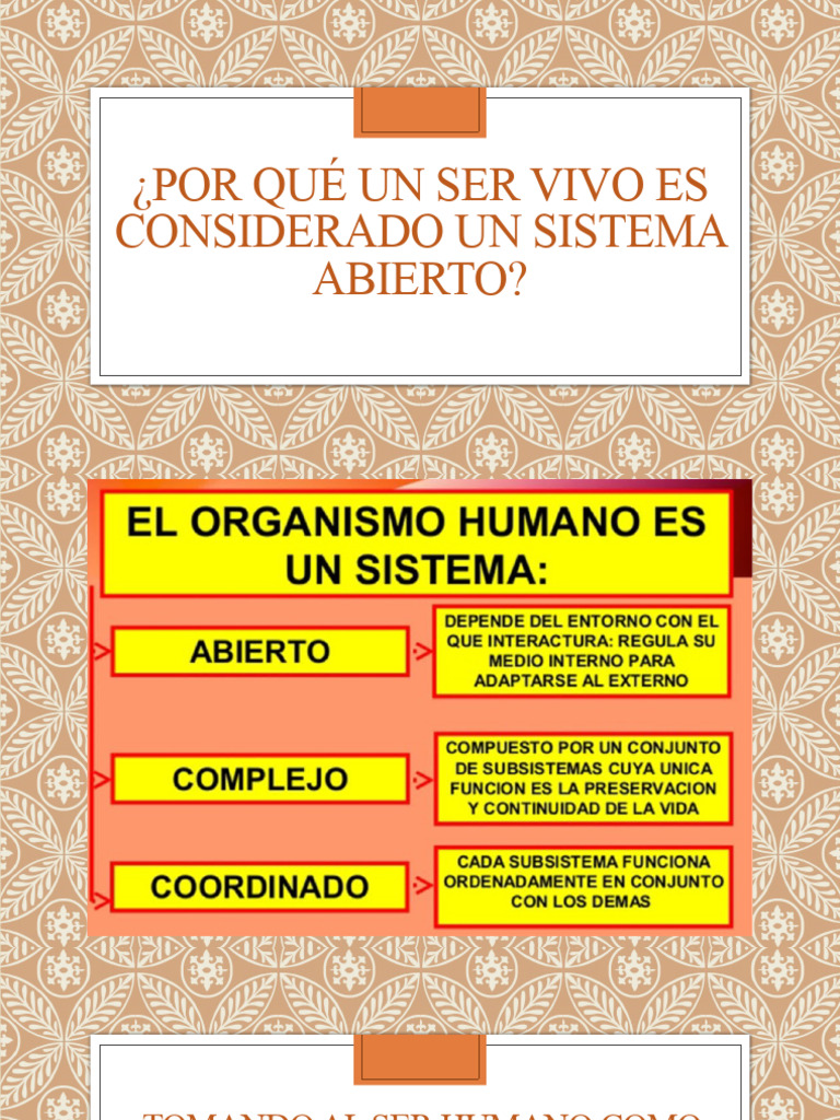 bio-2-power-pdf-sistema-circulatorio-gl-bulo-rojo