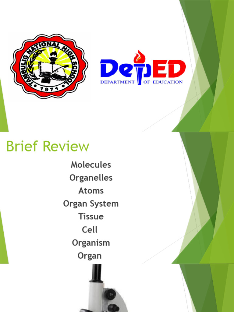 Parts and Functions of The Microscope | PDF