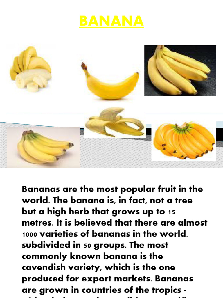 BANANA | PDF