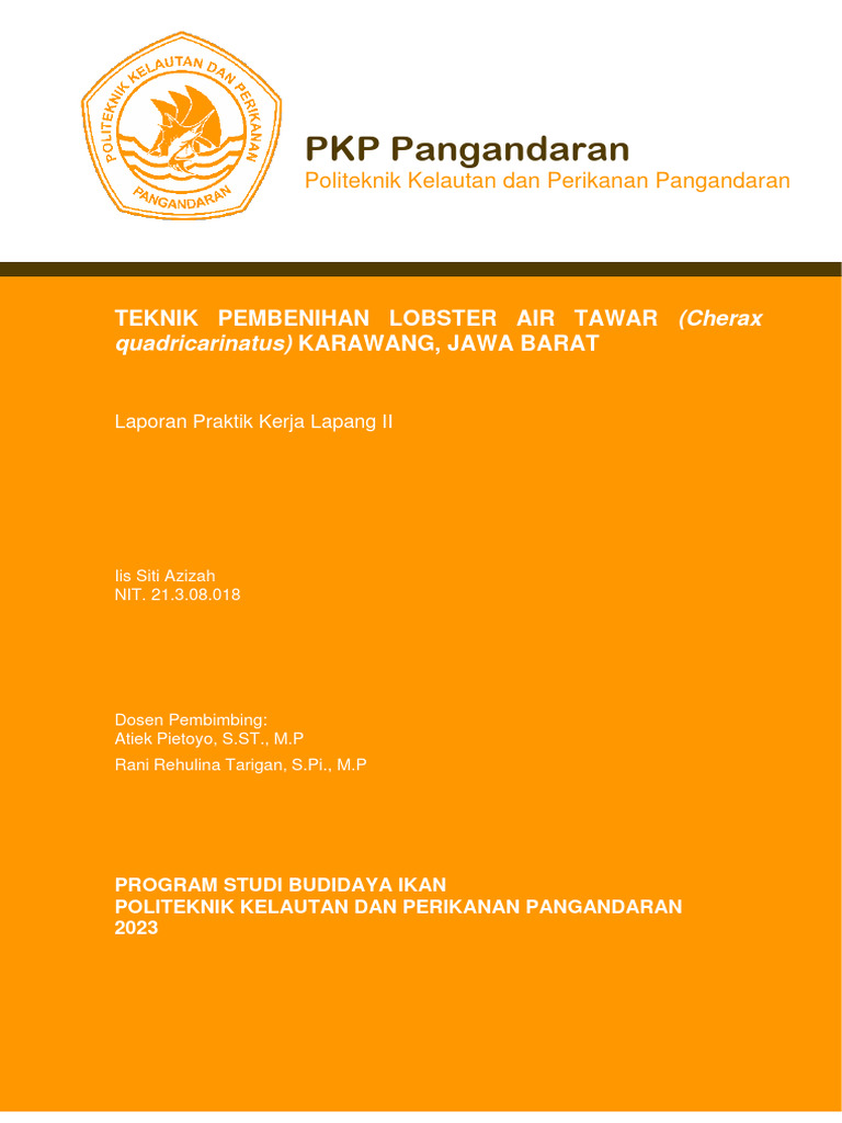 Laporan - PKL - 2 - Iis - Siti Azizah Lahaulla | PDF | Sains & Matematika