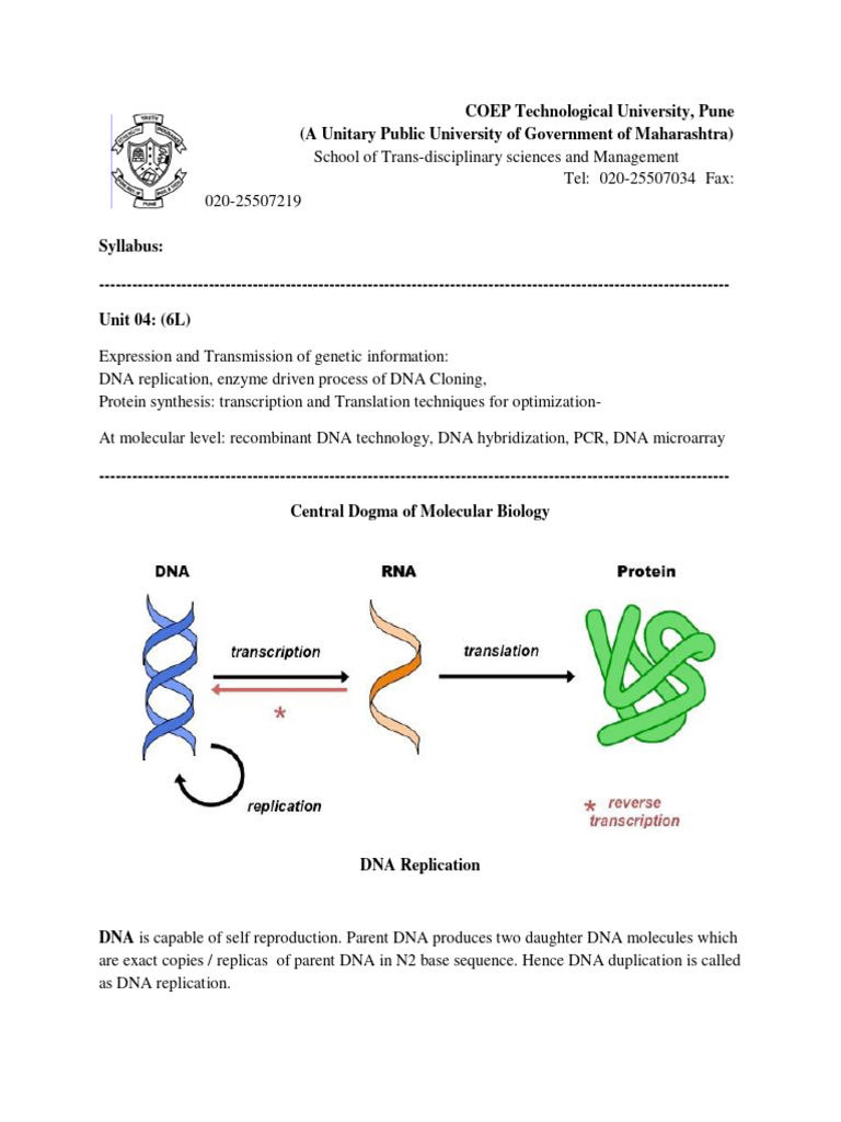 Unit Iv Bfe | PDF | Translation (Biology) | Plasmid