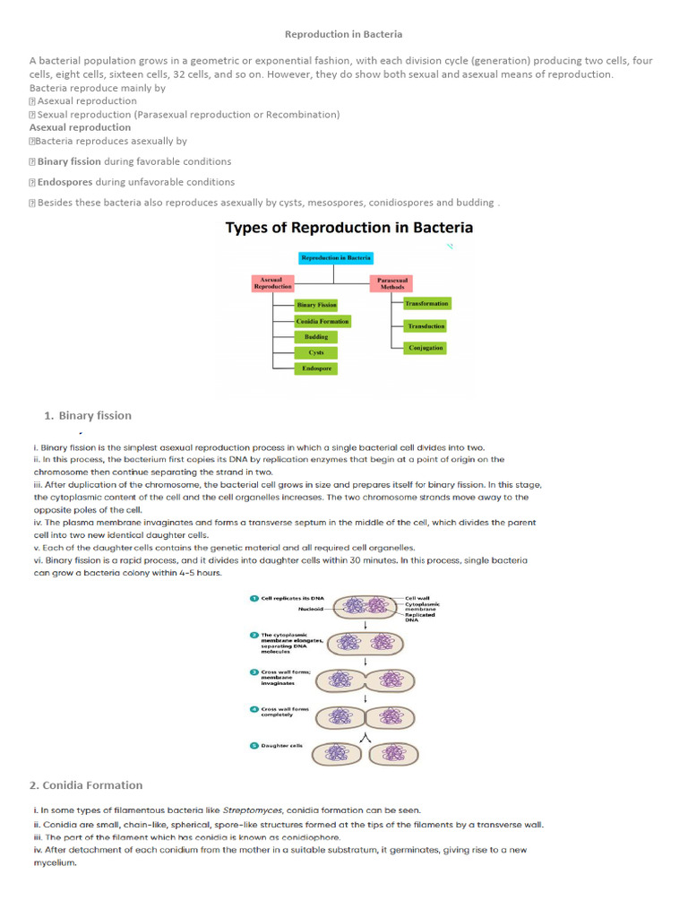 Bacterial Reproduction: Asexual & Sexual Methods | PDF | Wellness