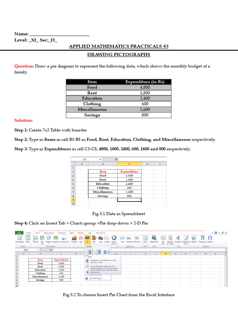 Practical 3- Class XI Applied Maths | PDF | Spreadsheet | Pie Chart
