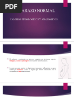Efecto Poseiro | PDF | Placenta | Feto