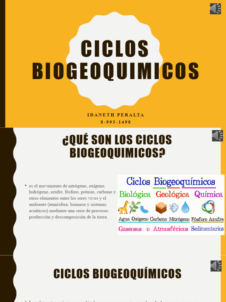 Ciclos Biogeoquimicos | PDF | Ciencia y matemáticas