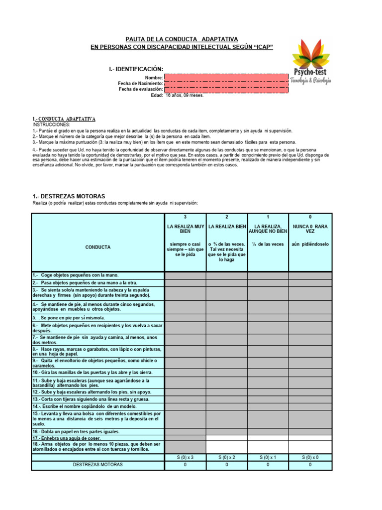 Plantilla ICAP | PDF