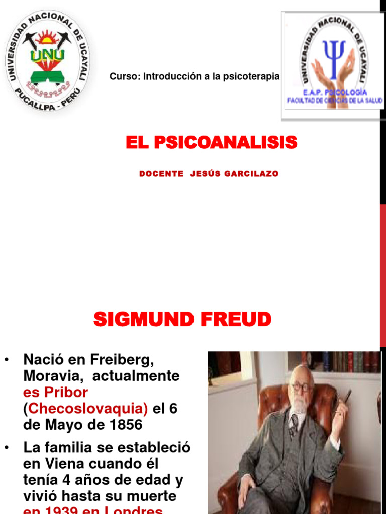 PSICOANALISIS | PDF | Psicoanálisis | Mente inconsciente
