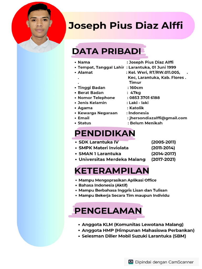 Curriculum Vitae | PDF