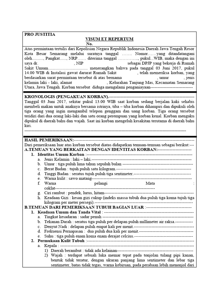 Contoh Visum Hidup | PDF