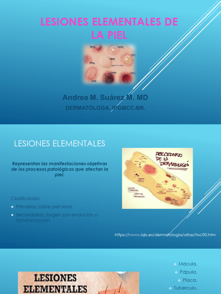 LESIONES ELEMENTALES dermatologia | PDF | Cicatrización de la herida ...