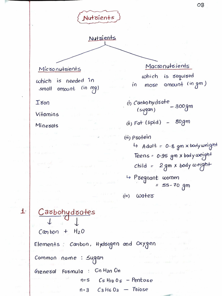 Biology Marathon 28-Nov-2023 20-38-45 | PDF