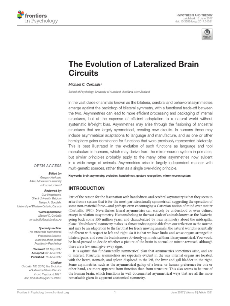 Corballis 2017 BrainLateralization Evolution | PDF | Handedness ...