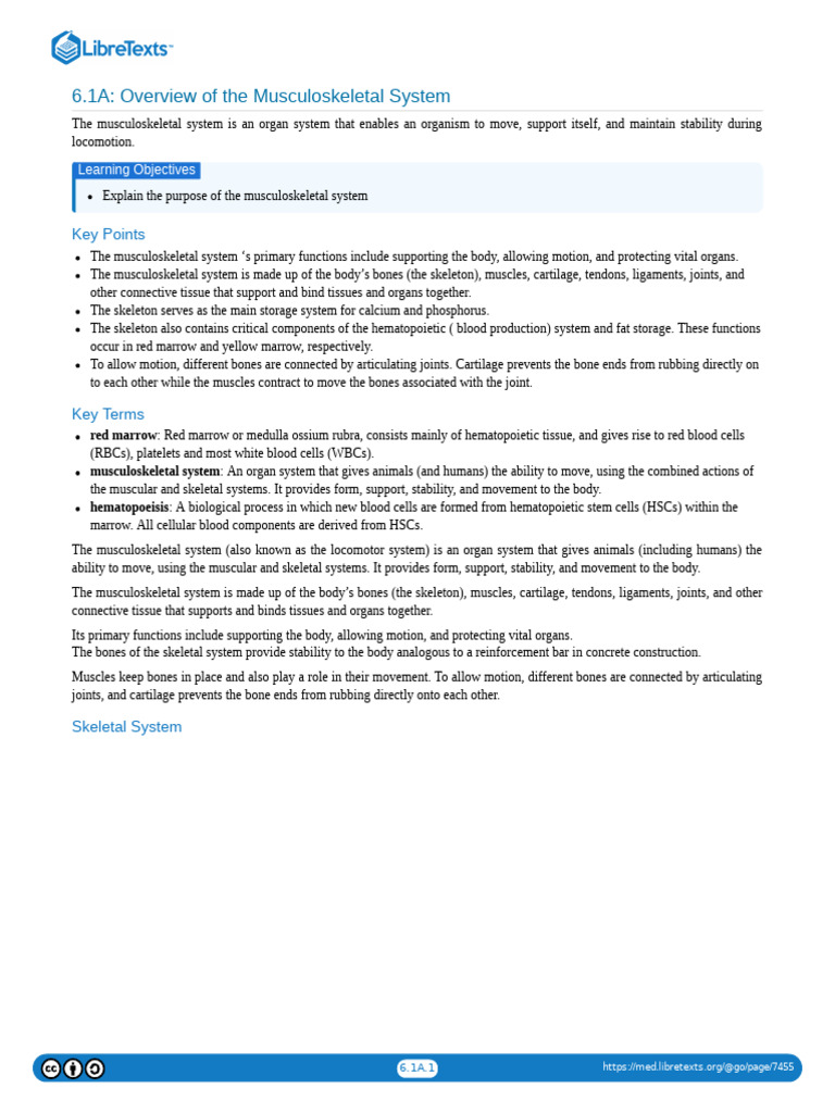 6.1A Overview of The Musculoskeletal System | PDF | Human ...