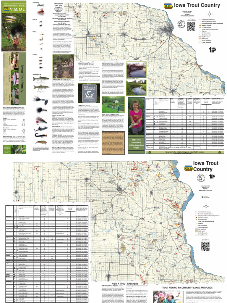 Trout Fishing Like A Pro | PDF | Rainbow Trout | Fishing Rod