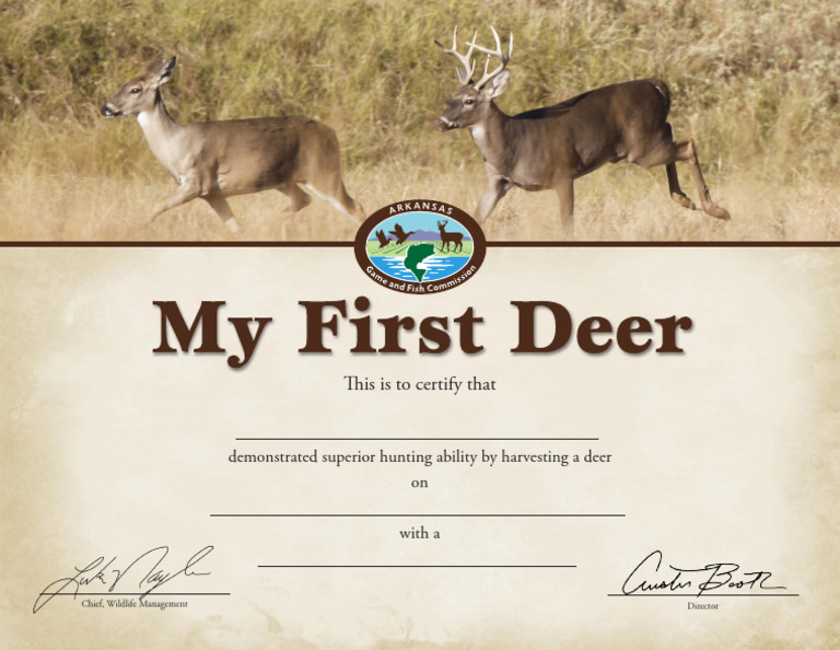 My First Deer Certificate | PDF