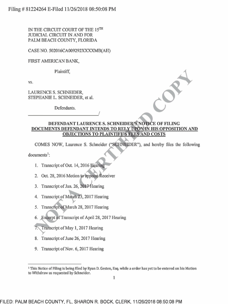 16-009292 (DE 259) Ex. 8 Hearing Transcript First American Banks MSJ ...