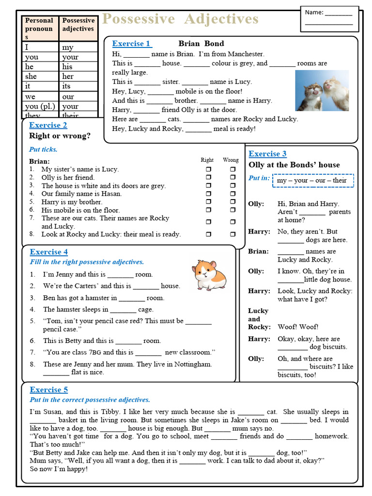 Possessive Adjectives Grammar Drills | PDF | Language Mechanics ...