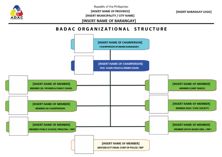 BADAC TEMPLATE - Council Organizational Structure | PDF