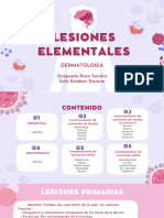 LESIONES DERMATOLOGICAS PRIMARIAS Correcto | PDF | Piel | Sistema ...