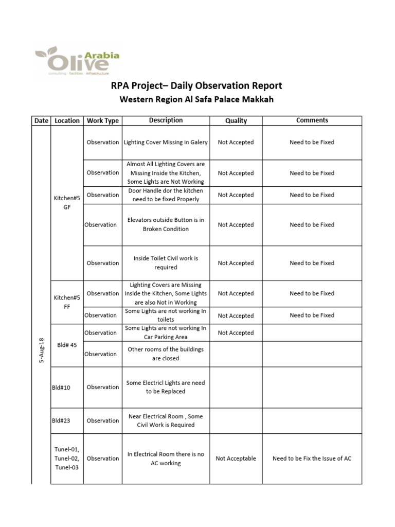 Daily Observation Report for RPA Project | PDF | Manufactured Goods ...