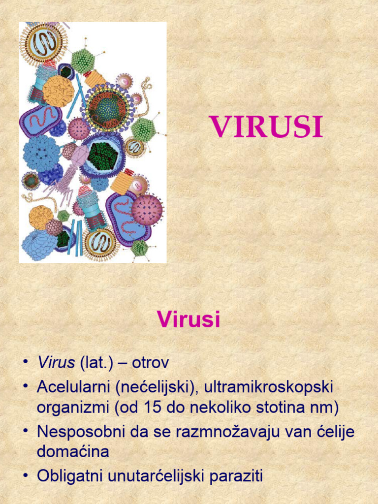 Virusi | PDF