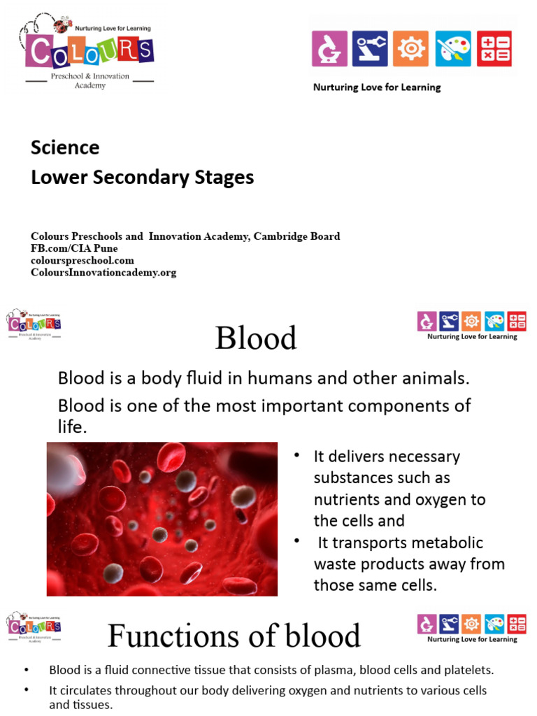 Blood Cells | PDF