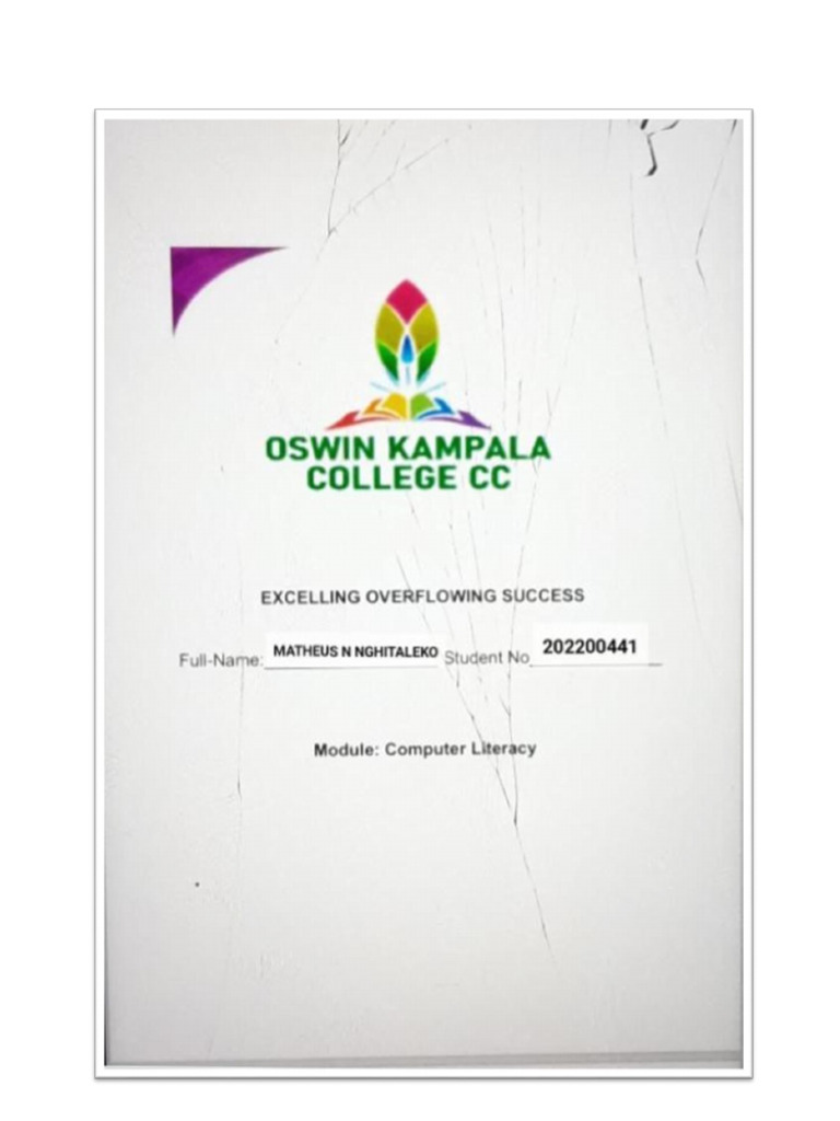 Computer Literacy | PDF | Computers