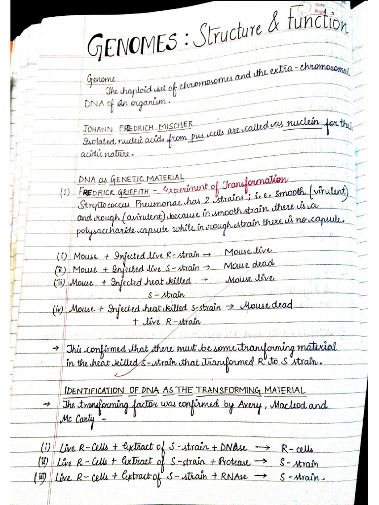 Genome - Structure and Function | PDF
