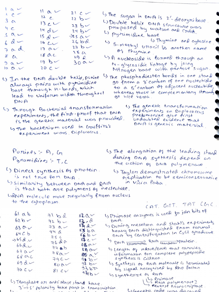 Molecular Basis of Inheritance (Vedantu) | PDF