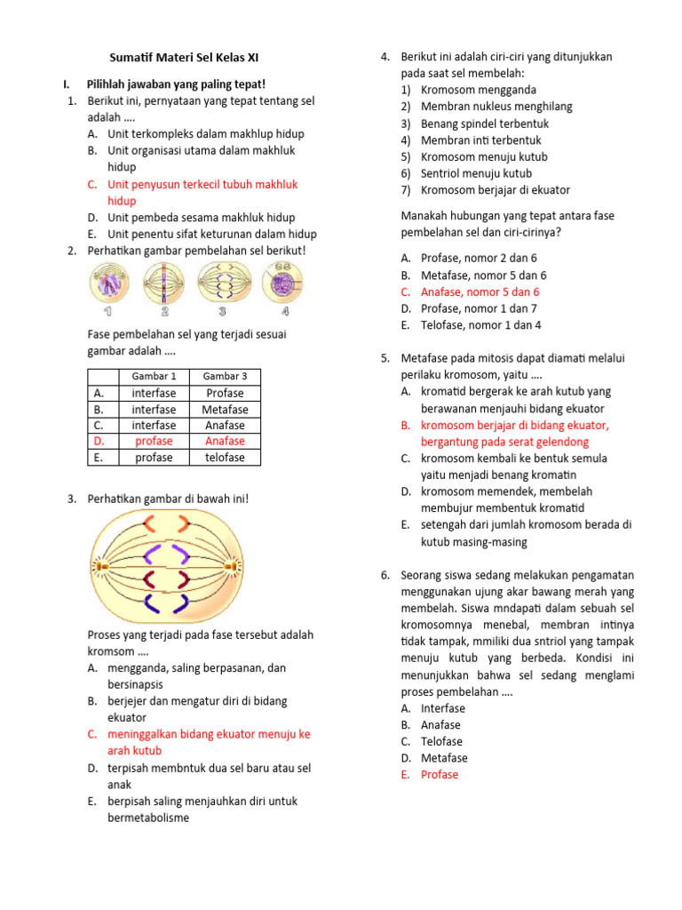 Soal Latihan Materi Sel | PDF