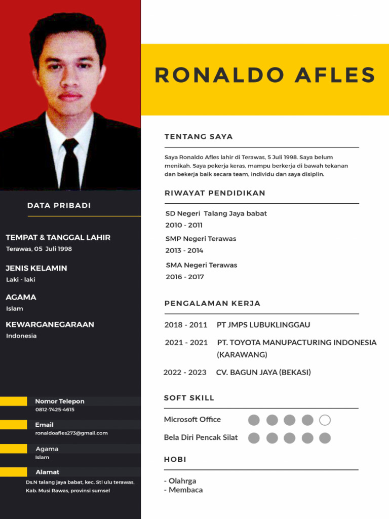 Ronaldo Afles - CV | PDF