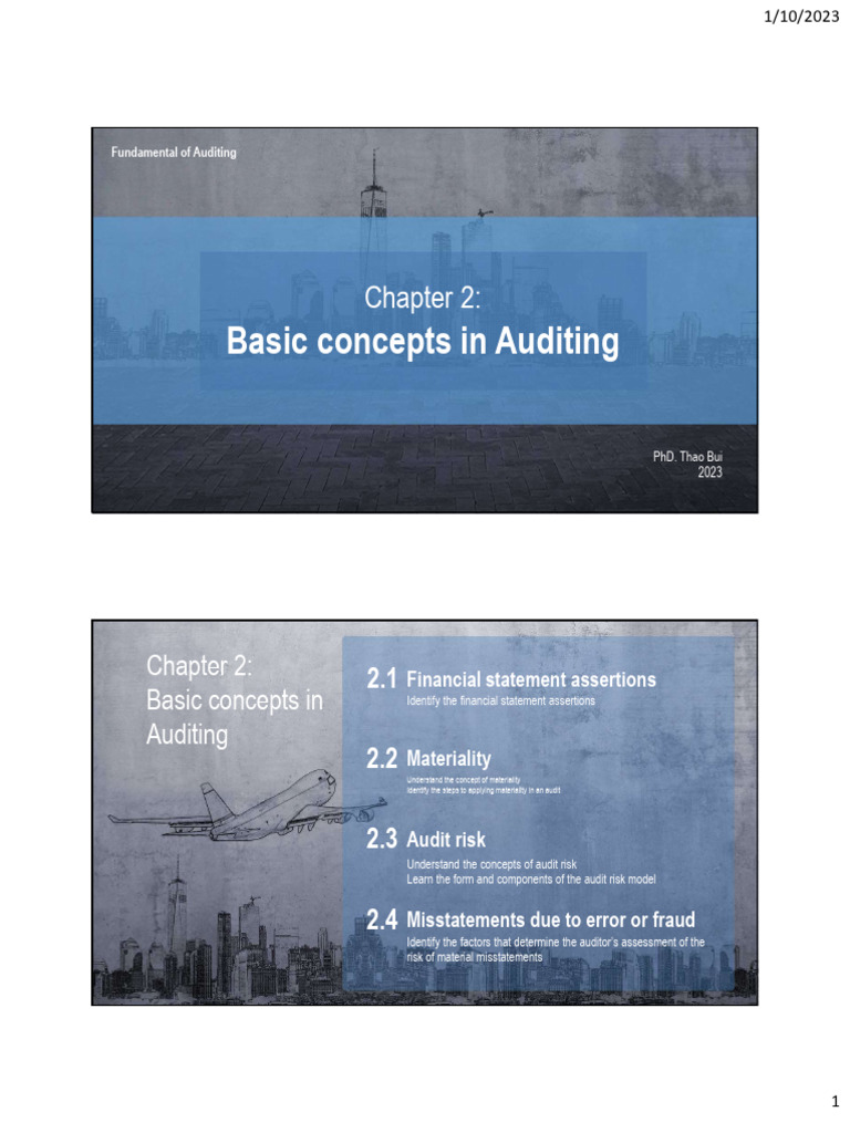 Chap 2 - Basic concepts in Auditing | PDF