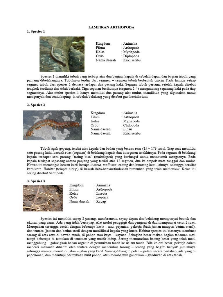 Spesies Arthropoda: Klasifikasi dan Ciri | PDF | Sains & Matematika